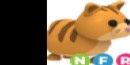 Beli Pet Ginger Cat - NFR Adopt Me Roblox Trading Hub Terlengkap dan ...