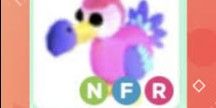 Buy Pet Neon (Fly Ride) DODO - Adopt Me Pets Adopt Me Trading Hub ...