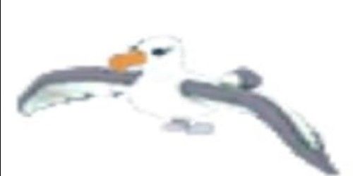Buy Pet ALBATROSS - ADOPT ME Adopt Me Roblox Trading Hub 2840634 | itemku