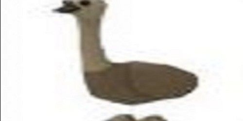 Beli Pet EMU - ADOPT ME Adopt Me Roblox Trading Hub Terlengkap dan ...