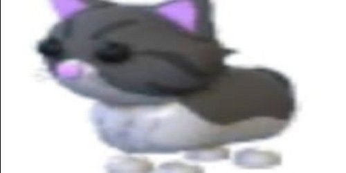 Buy Pet PERSIAN CAT - ADOPT ME Adopt Me Trading Hub 2840715 | itemku