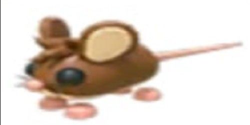 Beli Pet FIELD MOUSE - ADOPT ME Adopt Me Roblox Trading Hub Terlengkap ...