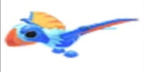 Buy Pet DIMORPHODON - ADOPT ME Adopt Me Roblox Trading Hub 2840369 | itemku
