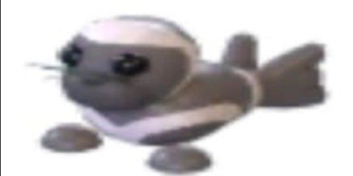 Beli Pet RIBBON SEAL - ADOPT ME Adopt Me Roblox Trading Hub Terlengkap ...