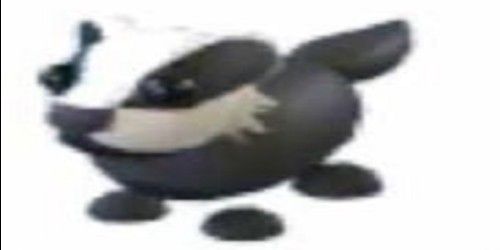Buy Pet BADGER - ADOPT ME Adopt Me Roblox Trading Hub 2840641 | itemku