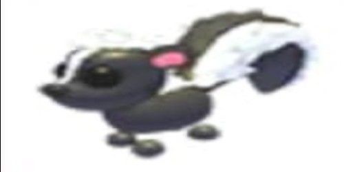 Buy Pet SKUNK - ADOPT ME Adopt Me Roblox Trading Hub 2840972 | itemku
