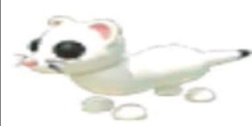 Buy Pet ERMINE - ADOPT ME Adopt Me Trading Hub 2842238 | itemku