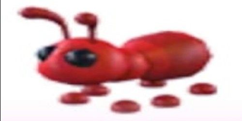Buy Pet ANT - ADOPT ME Adopt Me Trading Hub 2842282 | itemku