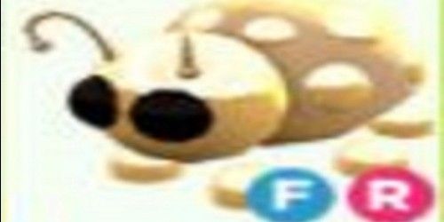 Beli Pet GOLDEN LADYBUG FR - ADOPT ME Adopt Me Roblox Trading Hub ...