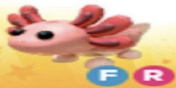 Beli Pet AXOLOTL FR - ADOPT ME Adopt Me Roblox Trading Hub Terlengkap ...