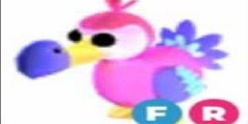 Beli Pet DODO FR - ADOPT ME Adopt Me Roblox Trading Hub Terlengkap dan ...