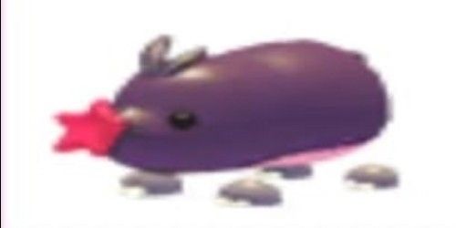 Buy Pet MOLE - ADOPT ME Adopt Me Roblox Trading Hub 2842249 | itemku