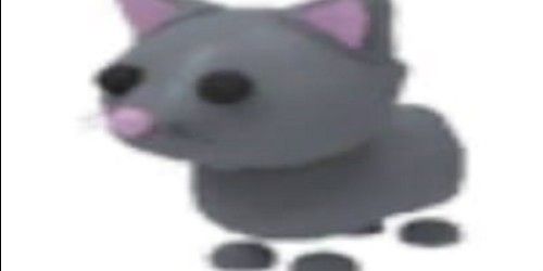 Buy Pet CAT - ADOPT ME Adopt Me Roblox Trading Hub 2842823 | itemku