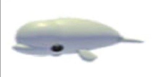 Beli Pet BELUGA WHALE - ADOPT ME Adopt Me Roblox Trading Hub Terlengkap ...