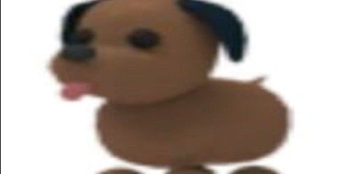 Buy Pet CHOCOLATE LABRADOR - ADOPT ME Adopt Me Trading Hub 2842230 | itemku