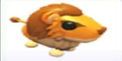 Buy Pet STEPPE LION - ADOPT ME Adopt Me Roblox Trading Hub 2842212 | itemku