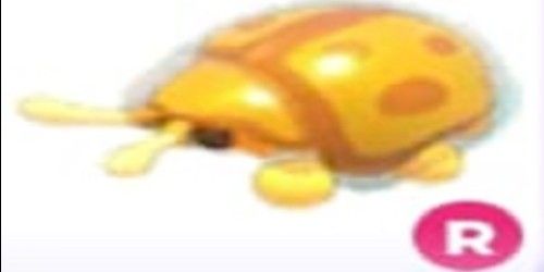 Beli Pet GOLDEN TORTOISE BEETLE R - ADOPT ME Adopt Me Roblox Trading ...