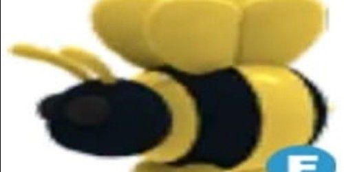 Buy Pet KING BEE F - ADOPT ME Adopt Me Roblox Trading Hub 2842786 | itemku