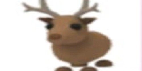 Buy Pet REINDEER - ADOPT ME Adopt Me Trading Hub 2842201 | itemku