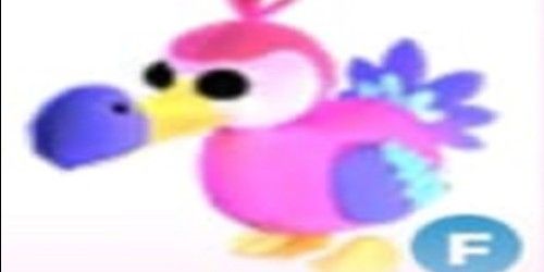Beli Pet DODO F - ADOPT ME Adopt Me Roblox Trading Hub Terlengkap dan ...