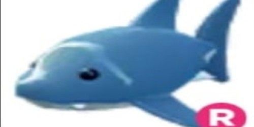 Buy Pet SHARK R - ADOPT ME Adopt Me Roblox Trading Hub 2842956 | itemku