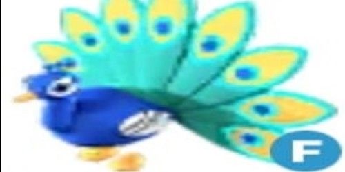 Buy Pet PEACOCK F - ADOPT ME Adopt Me Trading Hub 2843018 | itemku