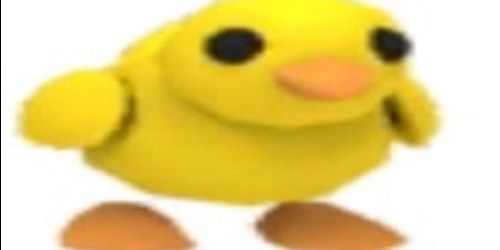 Beli Pet CHICK - ADOPT ME Adopt Me Roblox Trading Hub Terlengkap dan ...