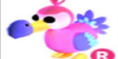 Beli Pet DODO R - ADOPT ME Adopt Me Roblox Trading Hub Terlengkap dan ...