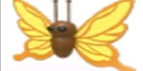 Beli Pet YELLOW BUTTERFLY - ADOPT ME Adopt Me Trading Hub Terlengkap ...