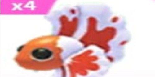 Beli Pet ORANGE BETTA FISH - ADOPT ME Adopt Me Roblox Trading Hub ...