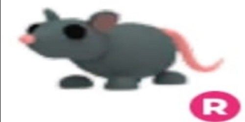 Buy Pet RAT R - ADOPT ME Adopt Me Roblox Trading Hub 2845421 | itemku