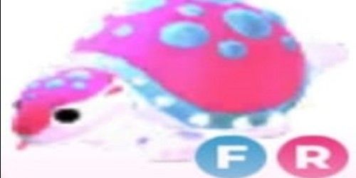 Buy Pet GLYPTODON FR - ADOPT ME Adopt Me Trading Hub 2845437 | itemku