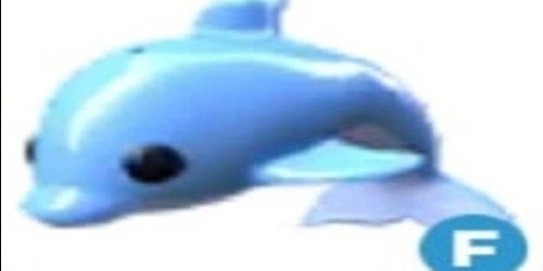 Buy Pet DOLPHIN F - ADOPT ME Adopt Me Trading Hub 2845434 | itemku