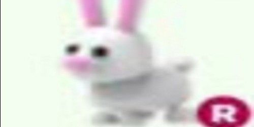 Buy Pet BUNNY R - ADOPT ME Adopt Me Roblox Trading Hub 2844464 | itemku