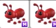 Buy Pet Ant M (Mega Neon) - Adopt Me Adopt Me Roblox Trading Hub ...