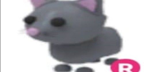 Beli Pet CAT R - ADOPT ME Adopt Me Roblox Trading Hub Terlengkap dan ...