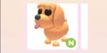 Buy Pet Toy Poodle N (Neon) - Adopt Me Adopt Me Trading Hub 2845716 ...