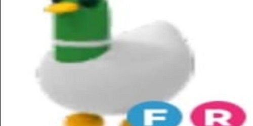 Buy Pet SILLY DUCK FR - ADOPT ME Adopt Me Roblox Trading Hub 2845445 ...