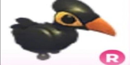 Beli Pet MALEO BIRD R - ADOPT ME Adopt Me Roblox Trading Hub Terlengkap ...