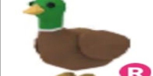 Buy Pet DRAKE R - ADOPT ME Adopt Me Trading Hub 2845435 | itemku