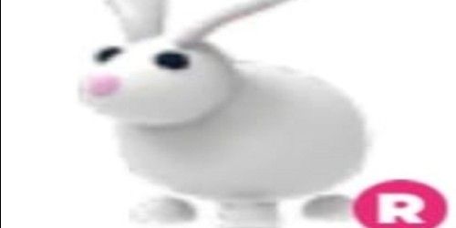 Beli Pet RABBIT R - ADOPT ME Adopt Me Trading Hub Terlengkap dan ...