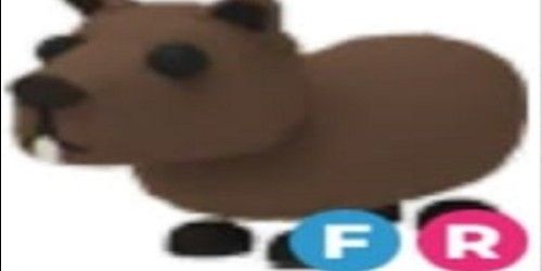 Buy Pet CAPYBARA FR - ADOPT ME Adopt Me Roblox Trading Hub 2845433 | itemku