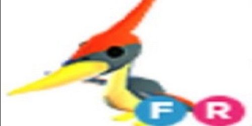 Buy Pet PTERODACTYL FR - ADOPT ME Adopt Me Roblox Trading Hub 2844543 ...