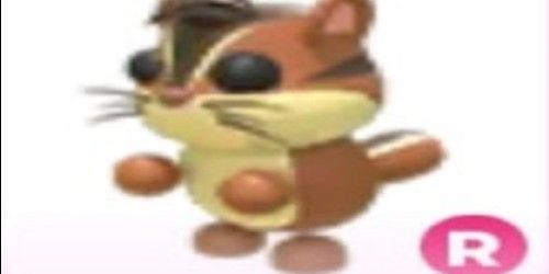Buy Pet CHIPMUNK R - ADOPT ME Adopt Me Trading Hub 2845394 | itemku