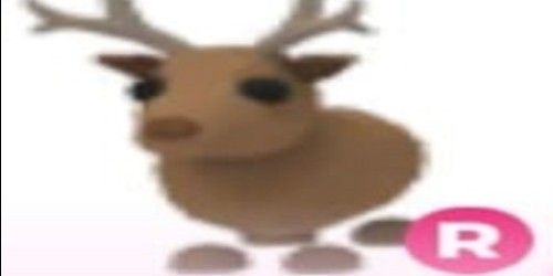Buy Pet REINDEER R - ADOPT ME Adopt Me Roblox Trading Hub 2845424 | itemku