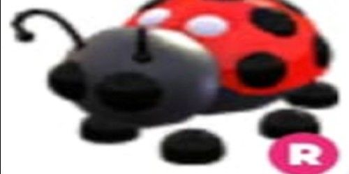 Buy Pet LADYBUG R - ADOPT ME Adopt Me Trading Hub 2844112 | itemku