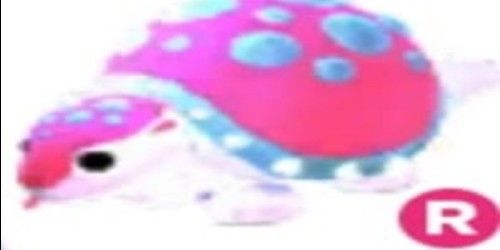 Buy Pet GLYPTODON R - ADOPT ME Adopt Me Trading Hub 2844568 | itemku