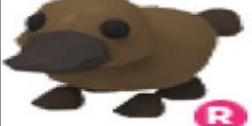 Buy Pet PLATYPUS R - ADOPT ME Adopt Me Roblox Trading Hub 2844119 | itemku