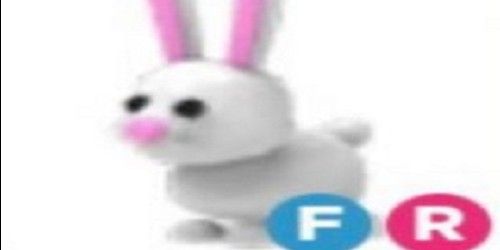 Beli Pet BUNNY FR - ADOPT ME Adopt Me Roblox Trading Hub Terlengkap dan ...