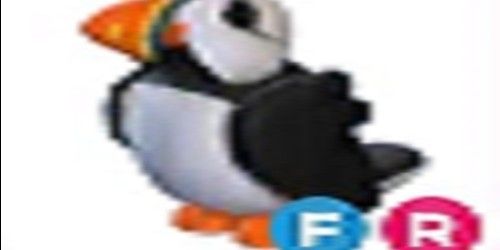 Buy Pet PUFFIN FR - ADOPT ME Adopt Me Roblox Trading Hub 2844310 | itemku